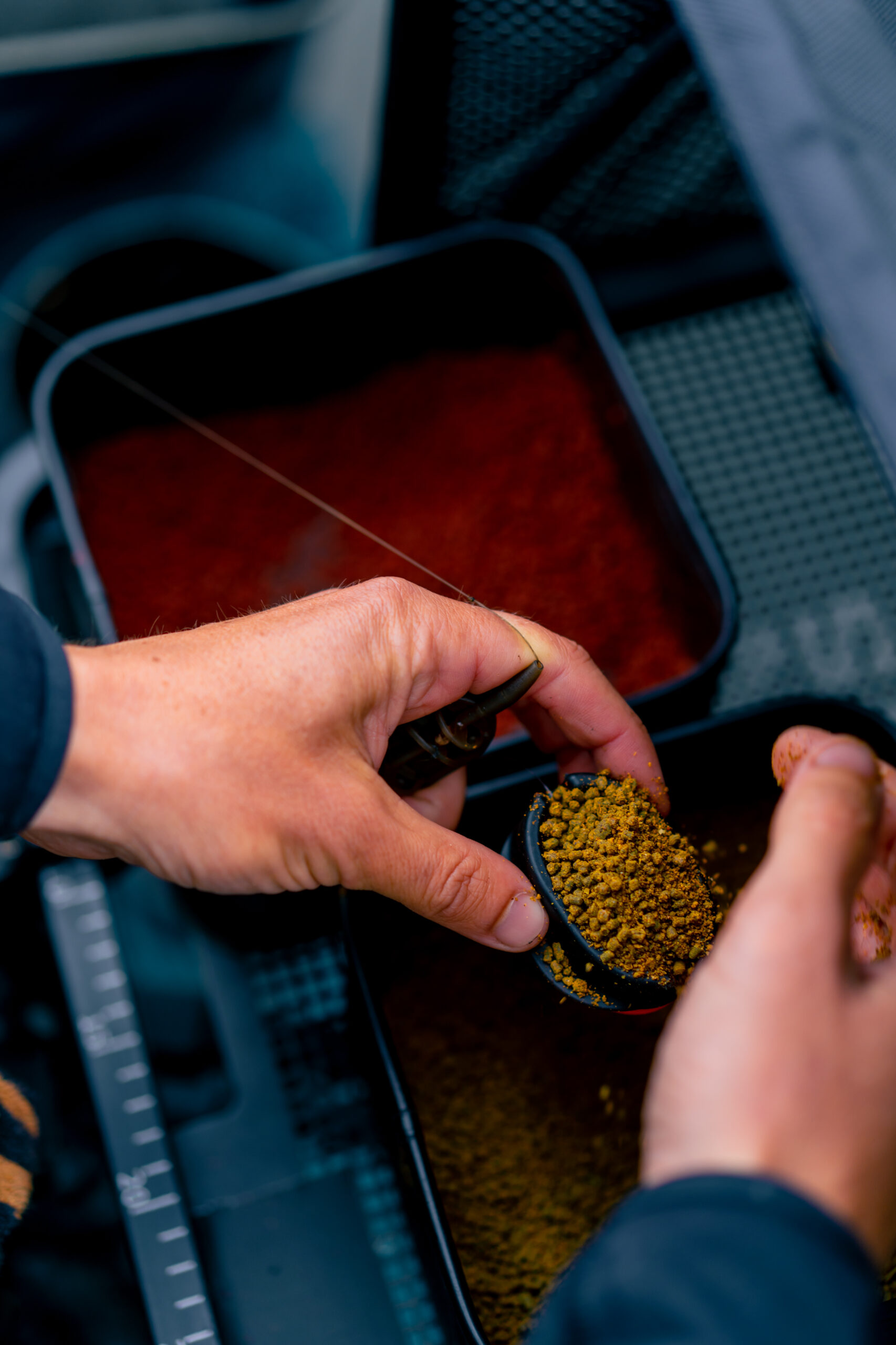 Smart Formulas to Boost Fish Performance - Unifeed
